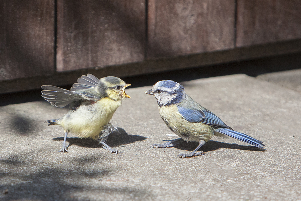23 tips om scherpe foto's te maken. - Fotoclubelburg