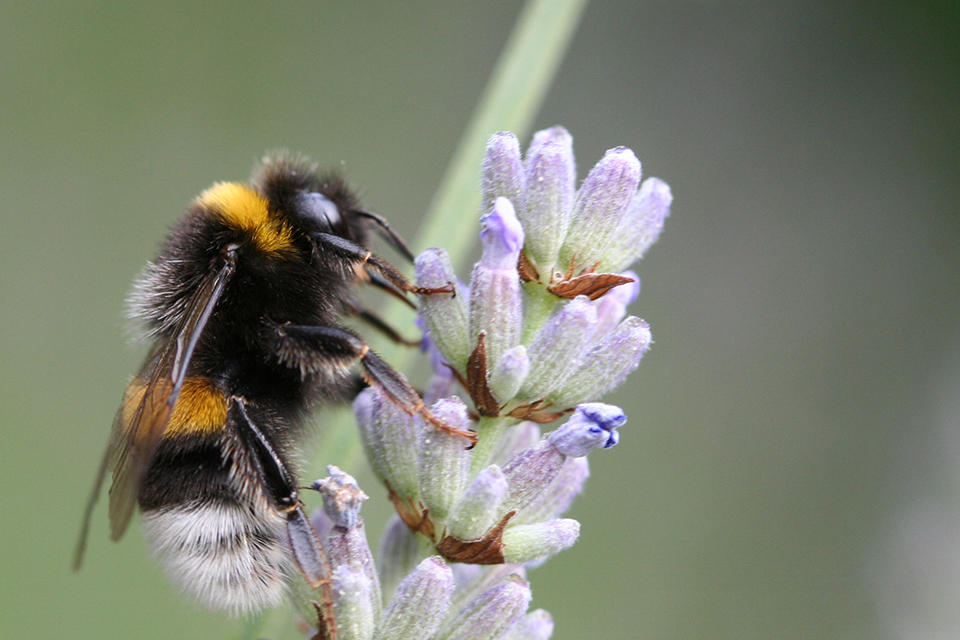 23 tips om scherpe foto's te maken. - Fotoclubelburg